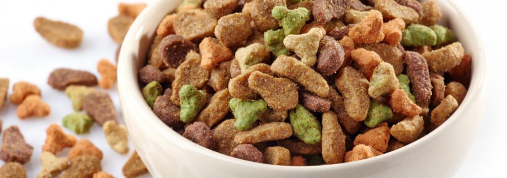 Les meilleurs gammes de croquettes pour vos animaux à quatre pattes